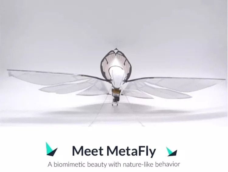 MetaFly, a Unique Flying Biomimetic Controllable Insect | Electric Hunter